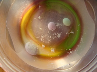 Put Halloween candy to use — in science experiments