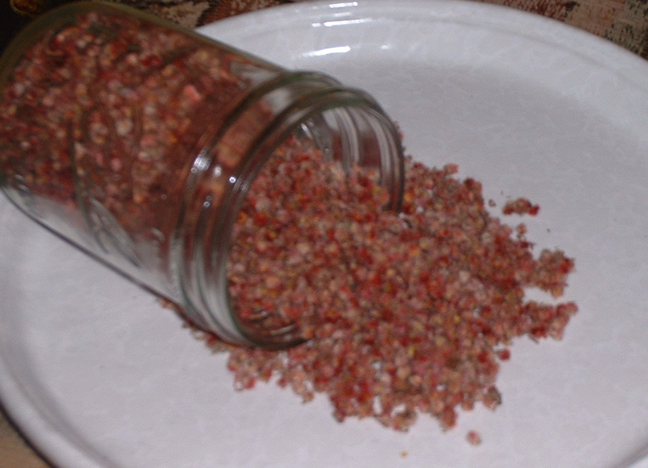 Wildcrafting - Staghorn Sumac and Sumacade