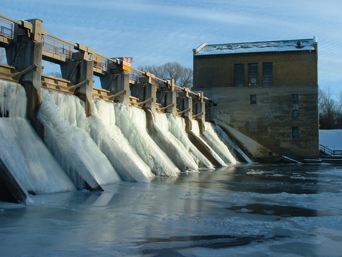 Wildcrafting - Ann Arbor-area winter observations