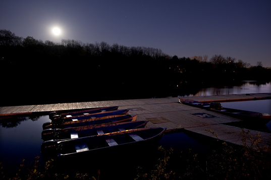 Moonlit April nightscapes in Ann Arbor