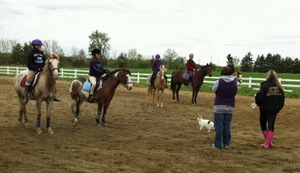 Junior high school equestrian team from Ann Arbor traning for next big ...