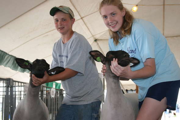 Saline youth sparkle with animals large and small at recent 4-H Youth Show