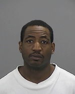 Lansing woman pleads guilty to role in three July break-ins