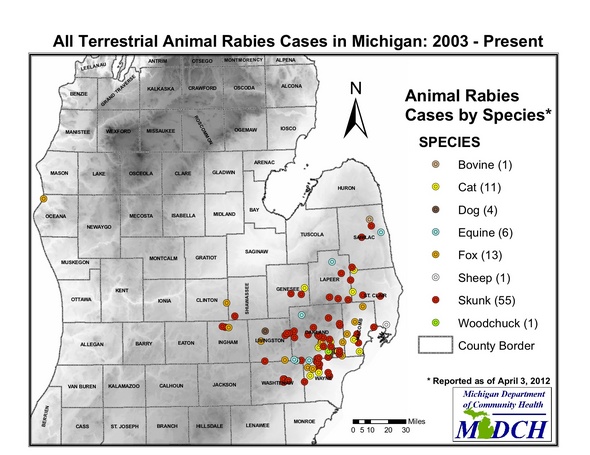Recent cases of rabid skunks part of statewide concern