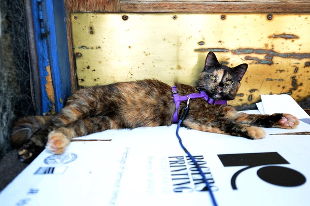 Images from Ann Arbor Art Fair 2013: Summer Art Fair