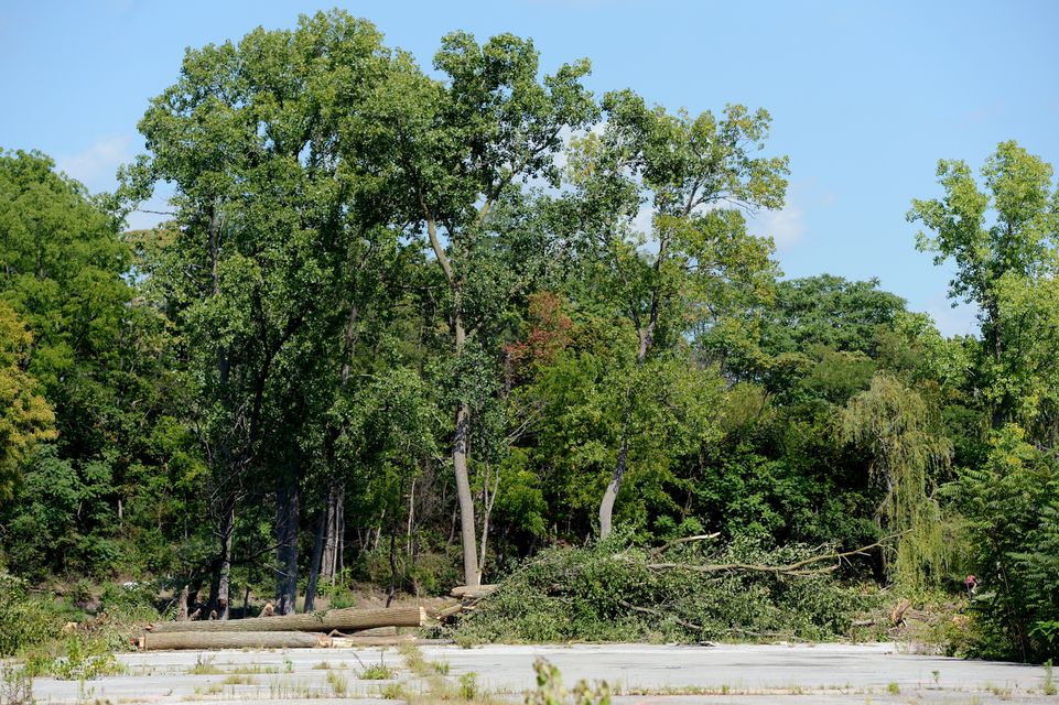 $3M cleanup of an industry's dirty footprint begins at MichCon site in ...