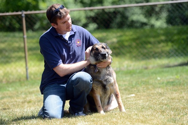 Ann Arbor police dog retires after nine years of service as new K-9 ...