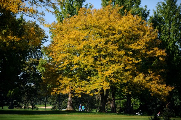 See our fall color photo gallery, and don't forget to send us your own