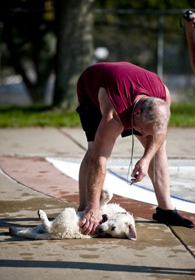 Voice your opinion in this week's photo poll