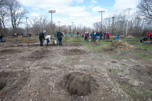 Volunteers gather to plant 500 trees along Water Street