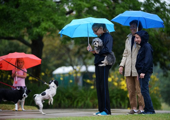 Images from the Dog Days of Summer