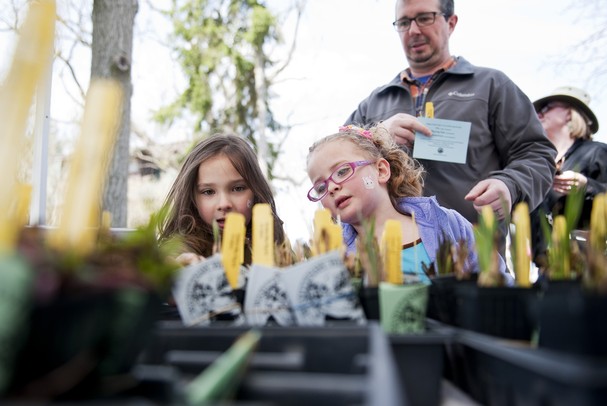 2013 Earth Day Festival engages families in educational afternoon