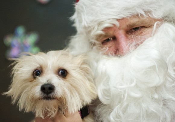 Pet photos with Santa benefit Humane Society of Huron Valley