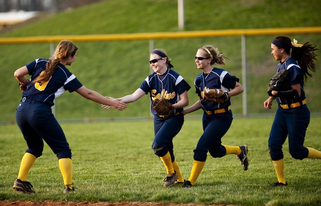 Chelsea spoils perfect game on final out but Saline still manages ...